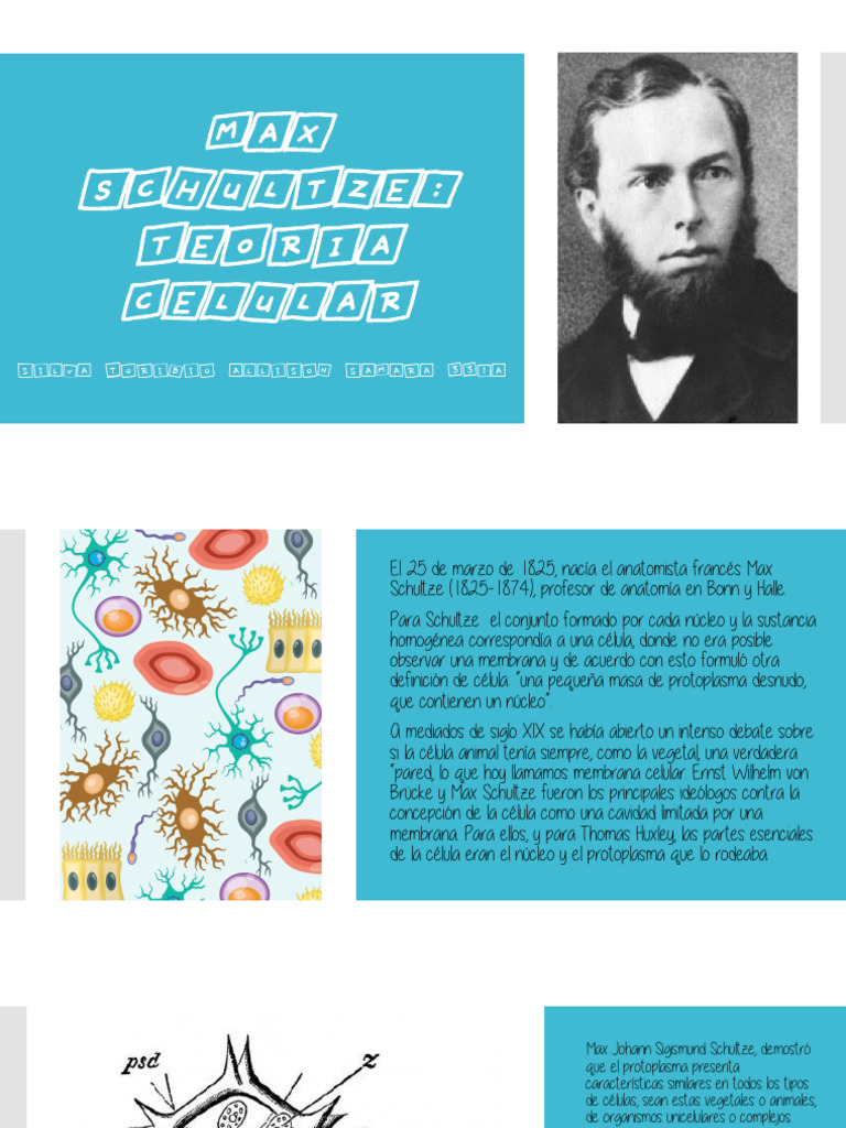 Max Schultze y la Teoría Celular | PDF