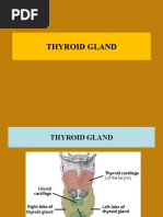 Mouse Parts | PDF | Organ (Anatomy) | Digestive System
