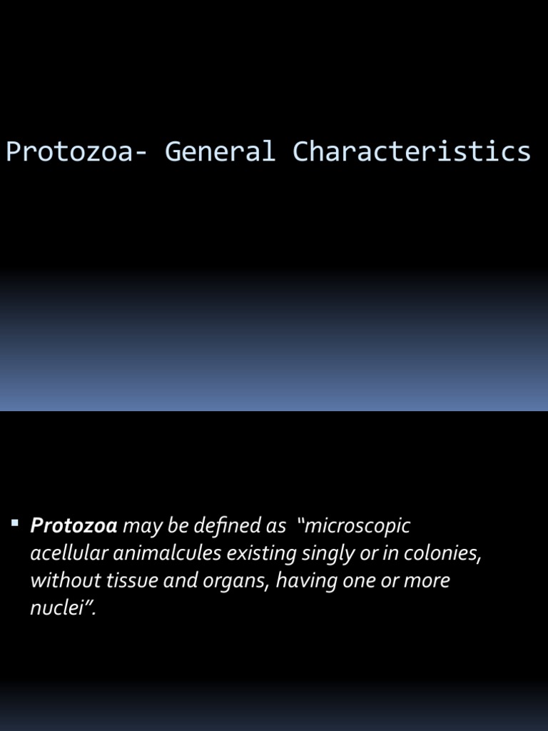 Protozoa General Characteristics | PDF | Protozoa | Biology Protozoa General Characteristics | PDF | Protozoa | Biology