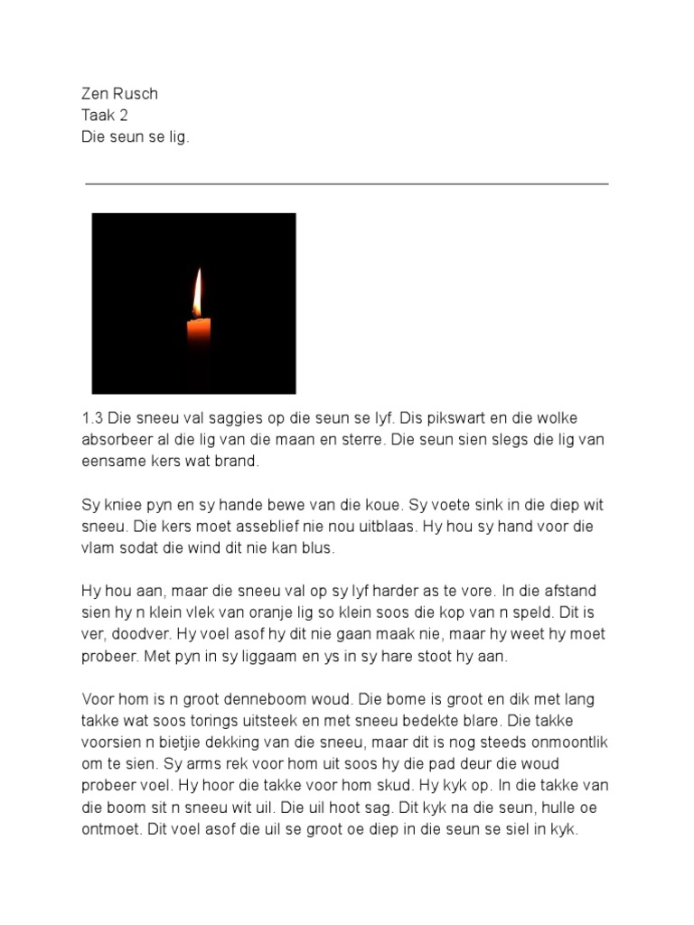 Afrikaans Opstel | PDF