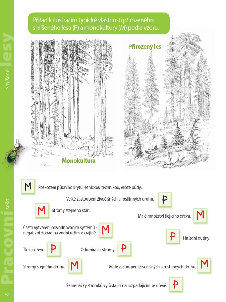 Pracovni Sesit Smisene Lesy Spravne Reseni | PDF