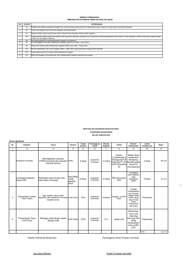 RPK Bulanan Imunisasi 2022 | PDF