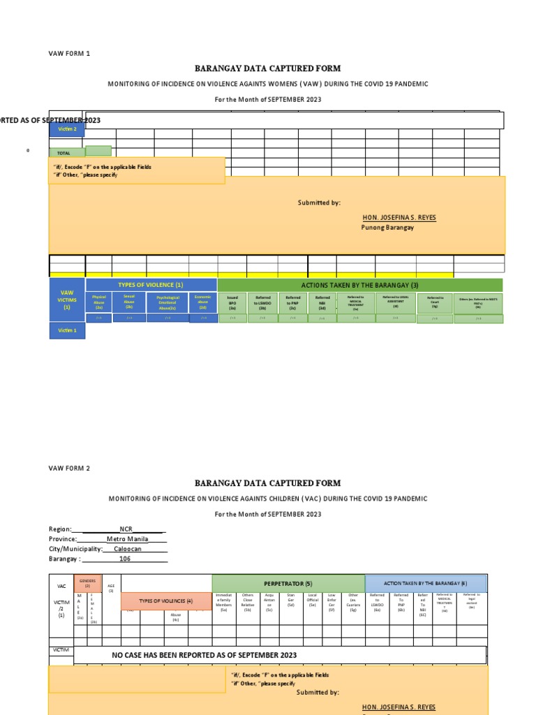 Vaw Vac Data Captured Form 2023 | PDF | Violence | Crime & Violence