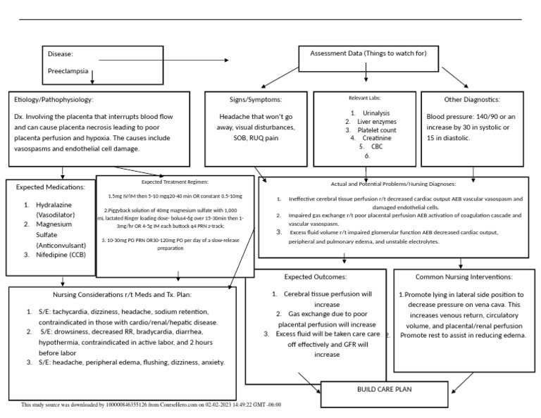 Concept Map Isha Preeclampsia | PDF | Blood Pressure | Organ (Anatomy)