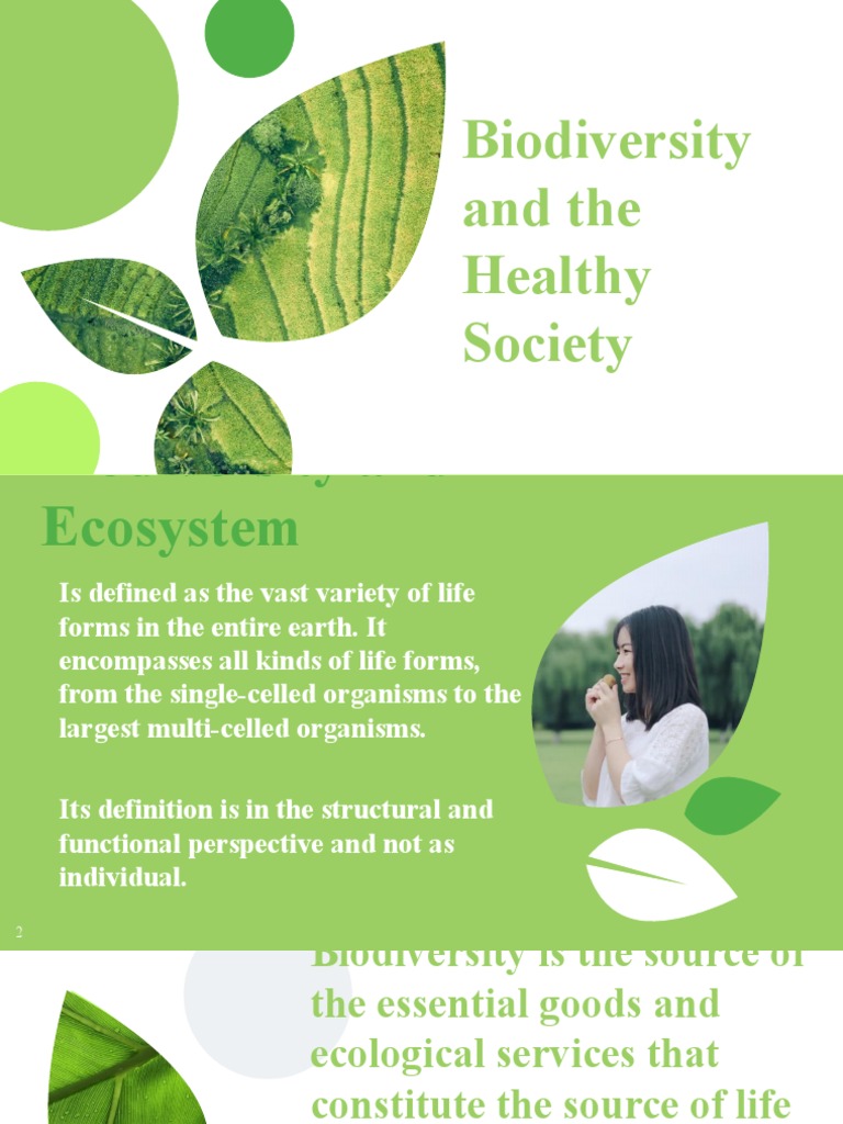L 10 Biodiversity And Healthy Ecosystem Pdf Biodiversity Ecosystem