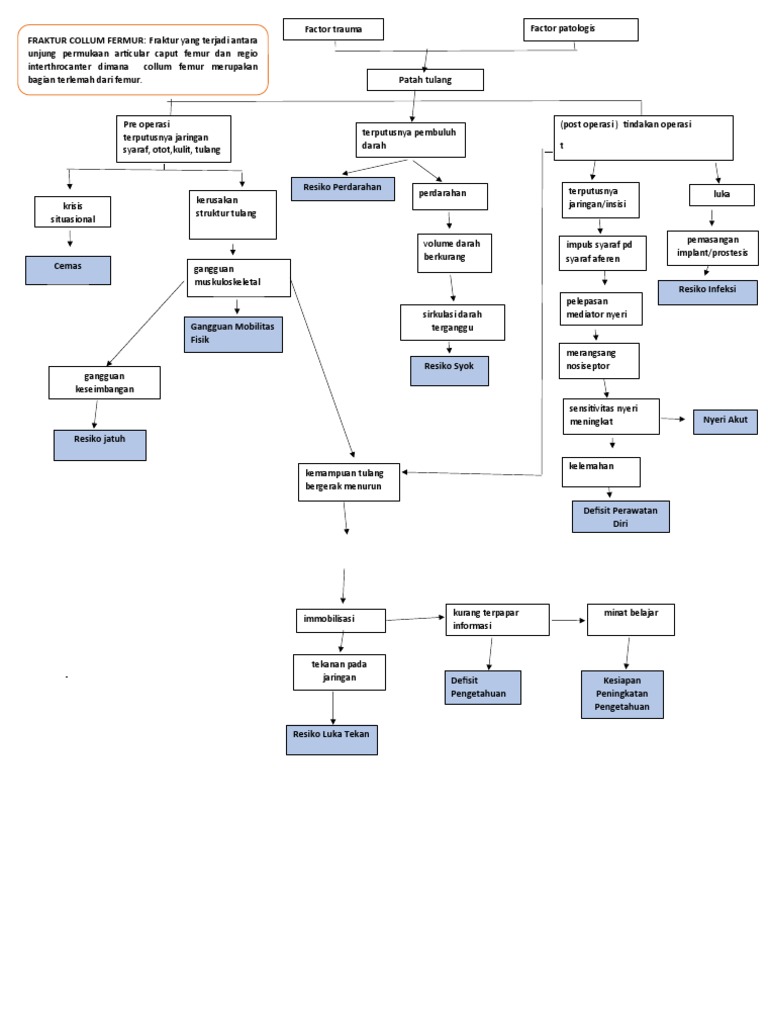 Pathway Fraktur Collum Femur | PDF