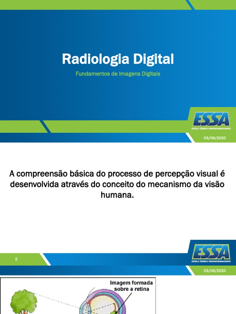 Fundamentos de Imagens Digitais | PDF | Sistema visual | Olho