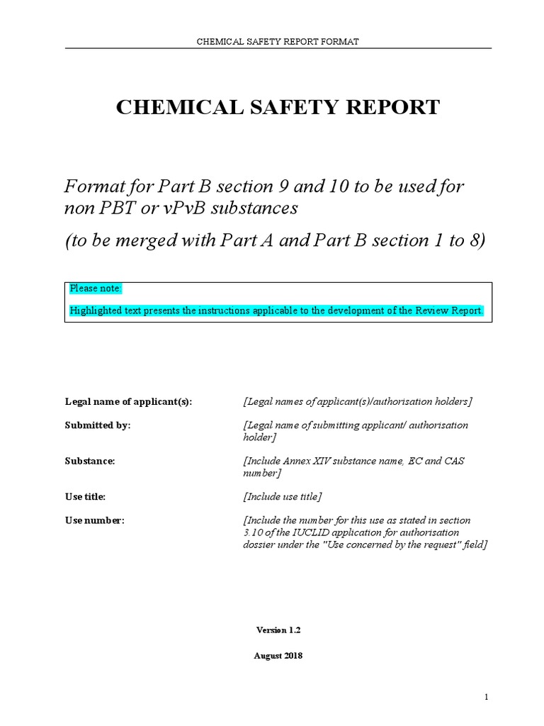 Chemical Safety Report Format With Instructions | PDF | Risk | Water