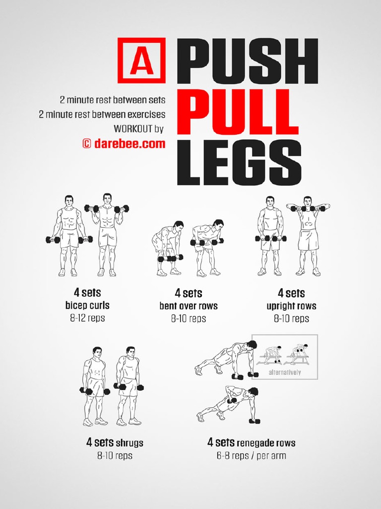 PPL Pull A Workout | PDF