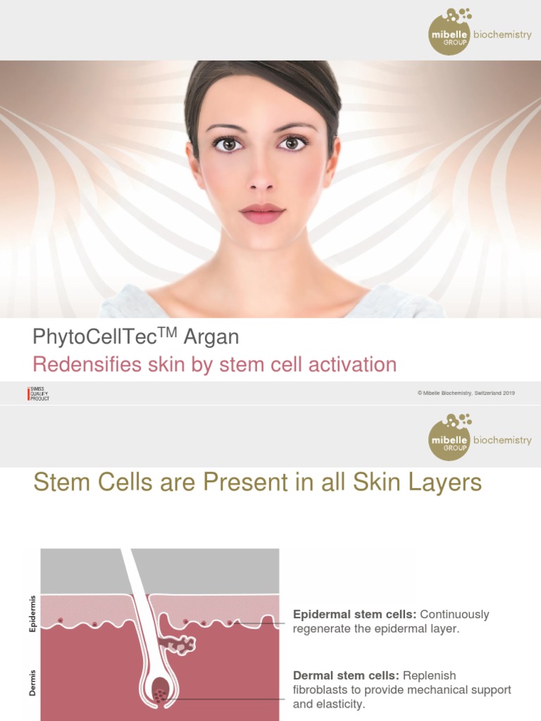 PhytoCellTec Argan 201906 | PDF | Skin | Wrinkle