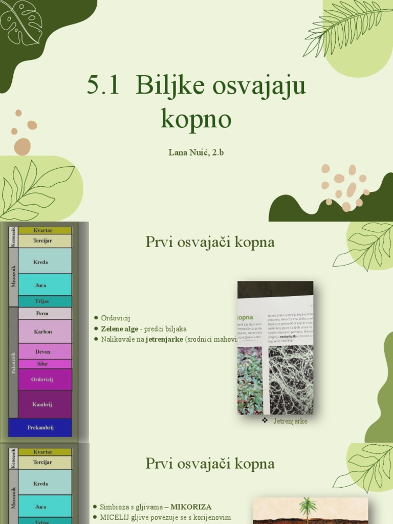 Biljke Osvajaju Kopno | PDF