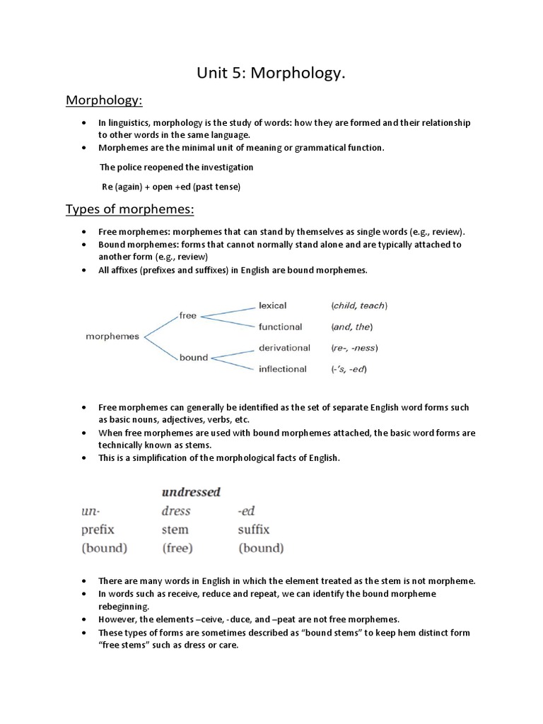 Unit 5 Morphology | Download Free PDF | Word | Morphology (Linguistics)