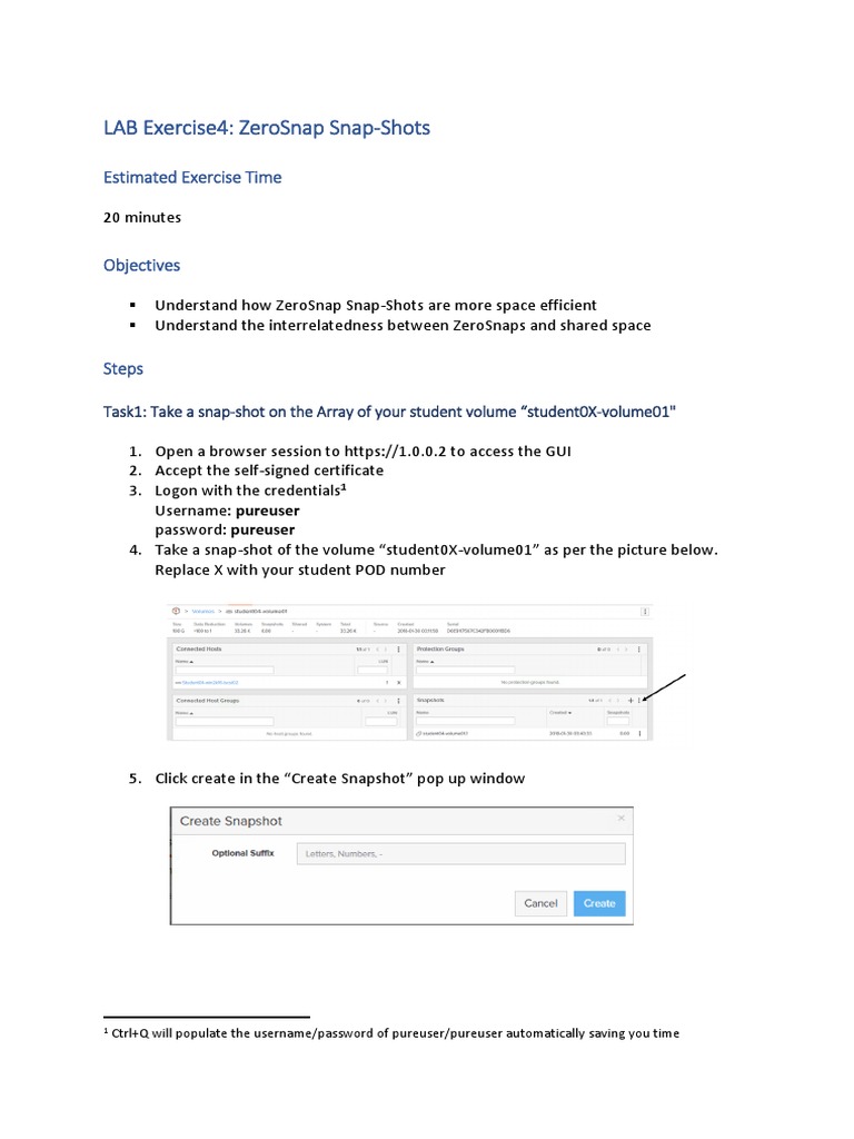 LAB4 - ZeroSnaps | PDF | Computer File | Computer Science