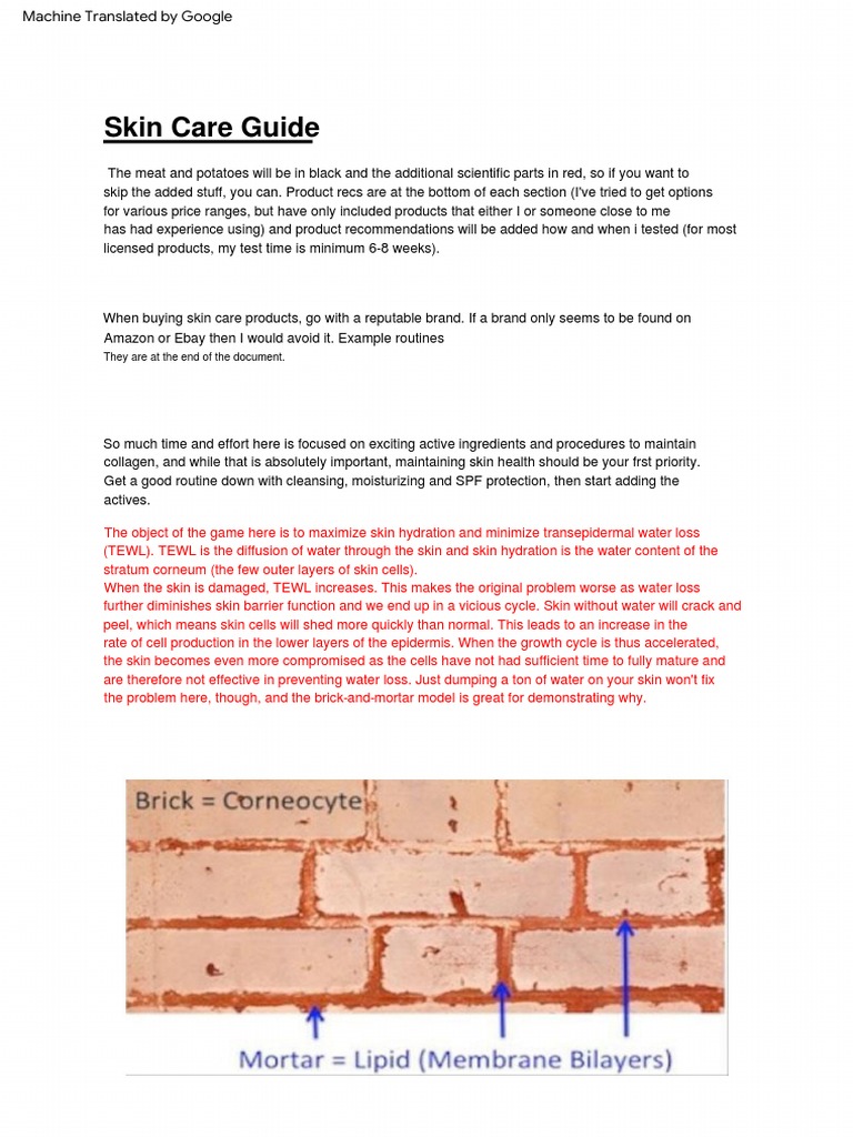 Skincare Guide | Download Free PDF | Epidermis | Skin