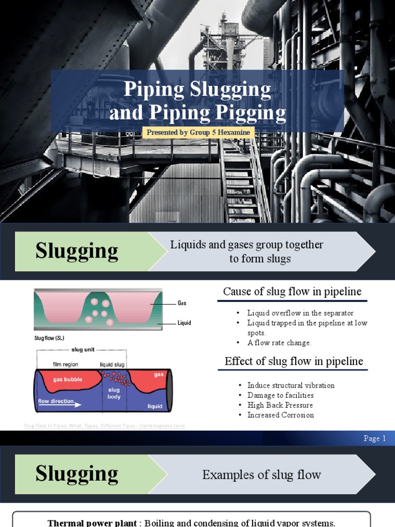 Group5 - Hexamine - Special Topic - Piping Slugging and Piping Pigging ...