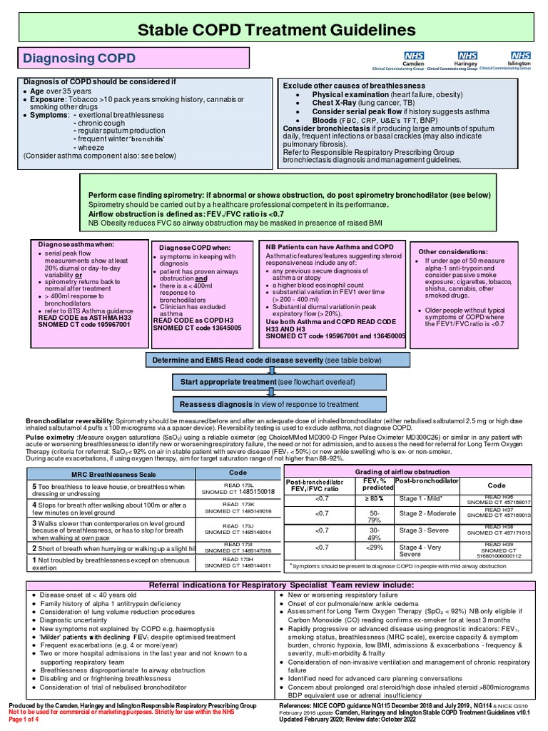 3 RRP COPD Guidelines | PDF | Chronic Obstructive Pulmonary Disease ...
