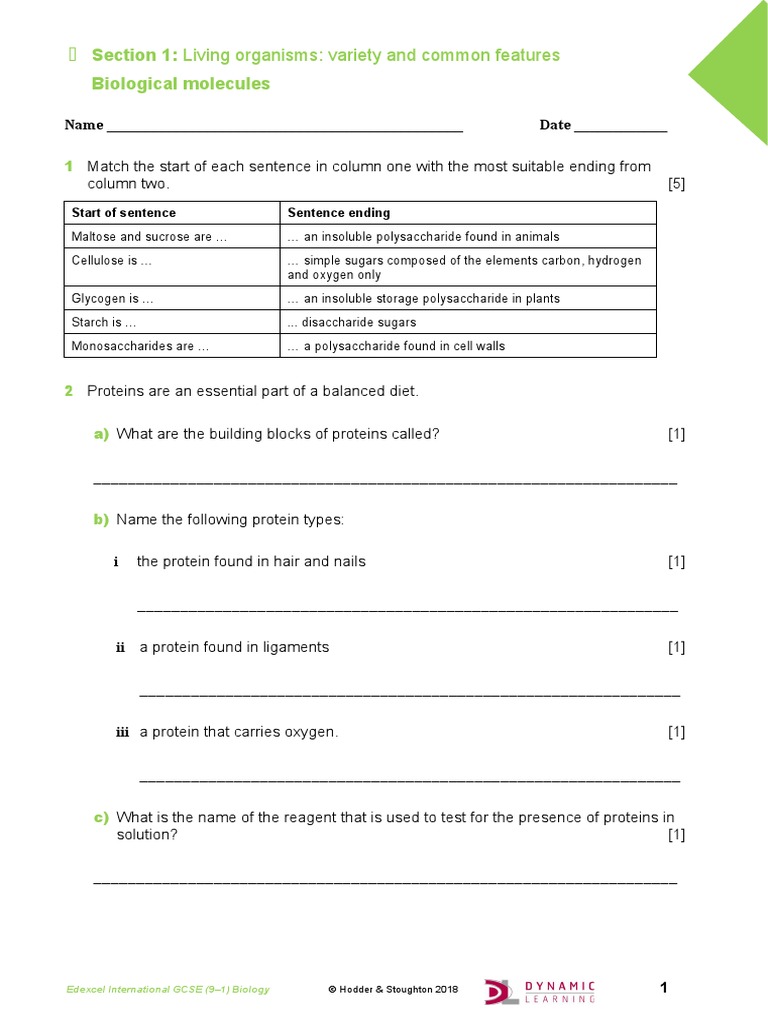 Worksheet Biological Molecules | PDF | Polysaccharide | Carbohydrates