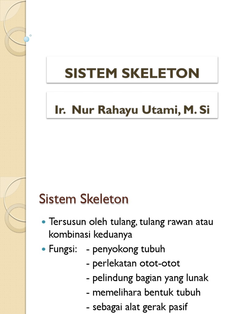 Sistem Skeleton | PDF