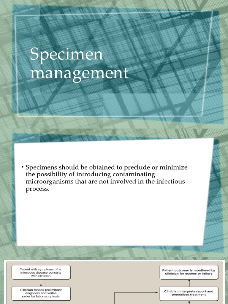 Specimen Management | PDF | Infection | Sexually Transmitted Infection