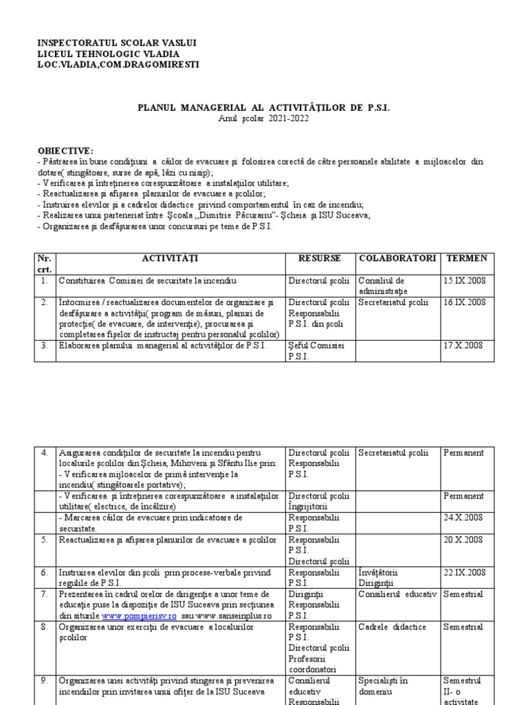 Plan Managerial Psi | PDF