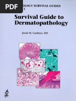 Sífilis - Epidemiología, Fisiopatología y Manifestaciones Clínicas en ...