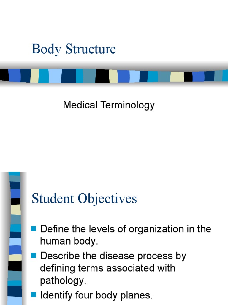 5 Body Structure | PDF | Anatomical Terms Of Location | Medical Imaging
