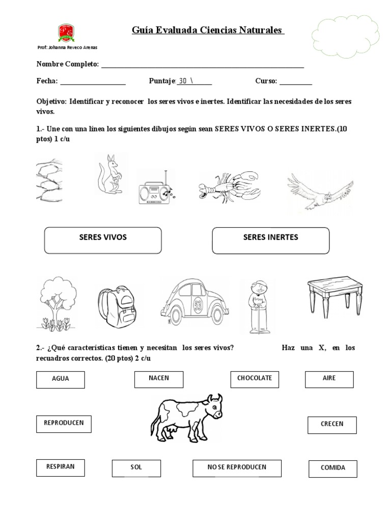 Guía de Seres Vivos e Inertes | PDF