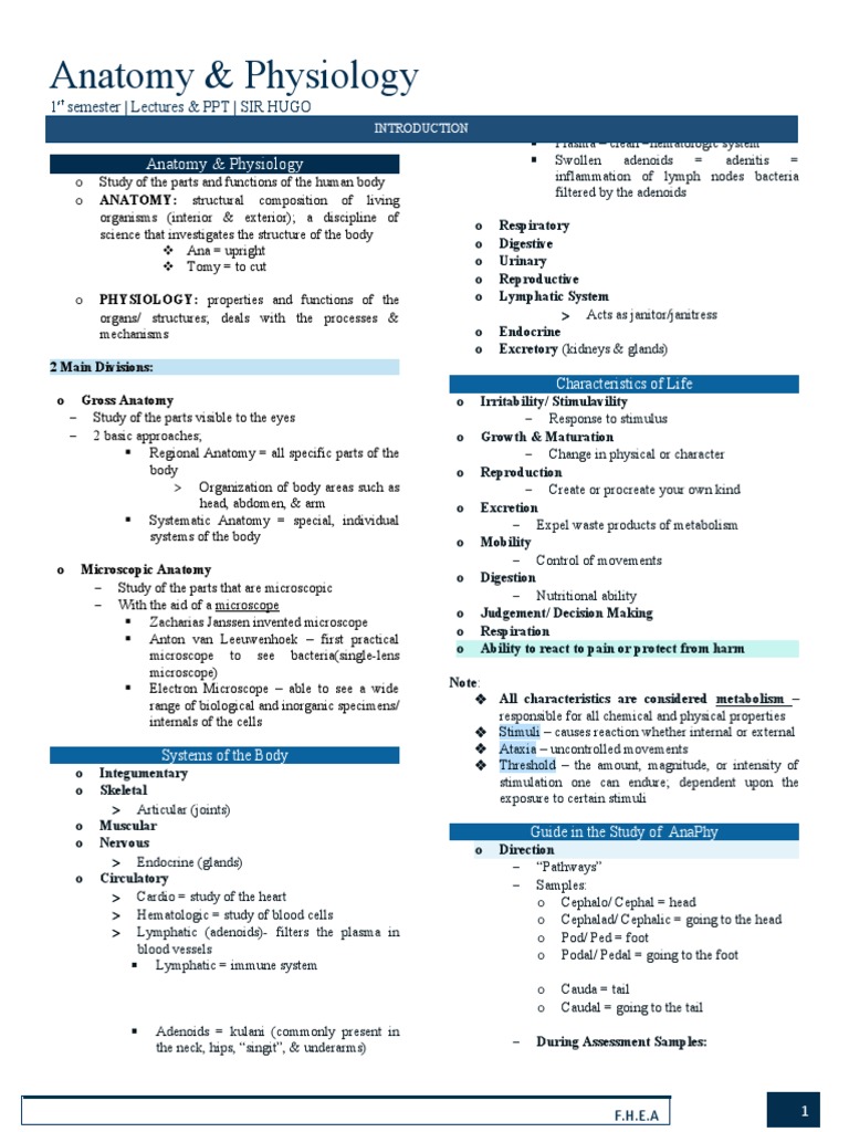 Anaphy Transes - 1st Term | PDF | Anatomical Terms Of Location | Cell ...