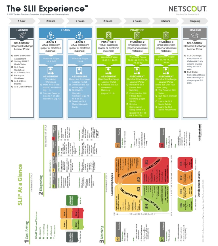 The SLII Experience Roadmap | PDF | Worksheet | Learning