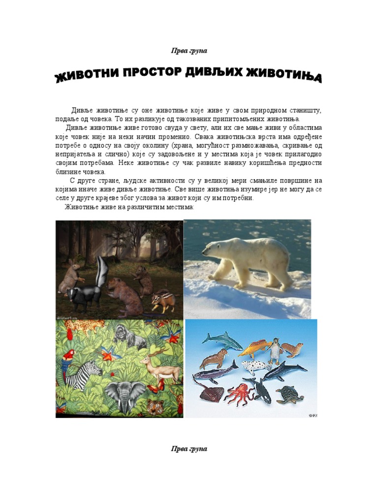 Divlje Zivotinje | PDF