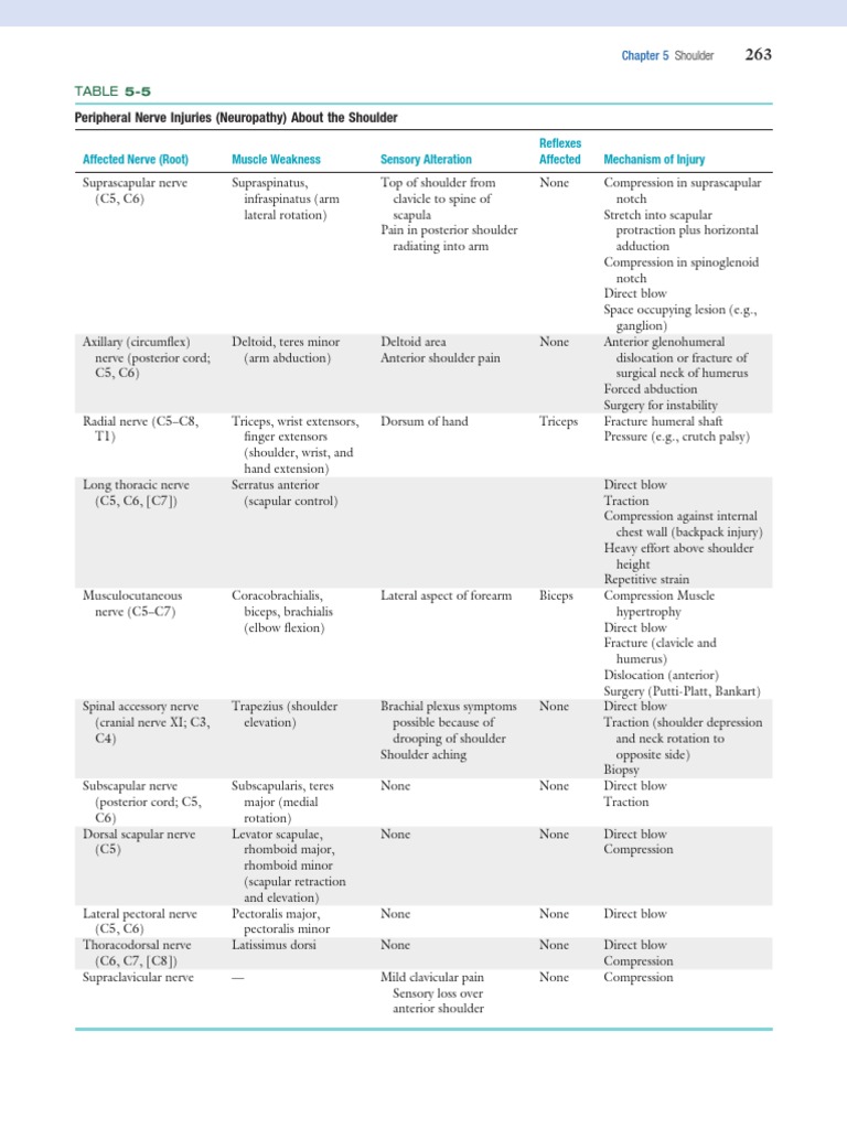 Magee Kine Libro 2 | PDF | Shoulder | Arm