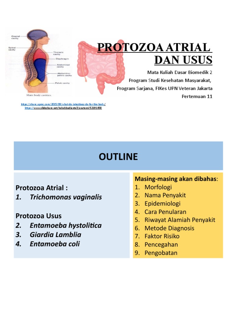 11 - Protozoa Atrial Dan Usus - 2021 | PDF