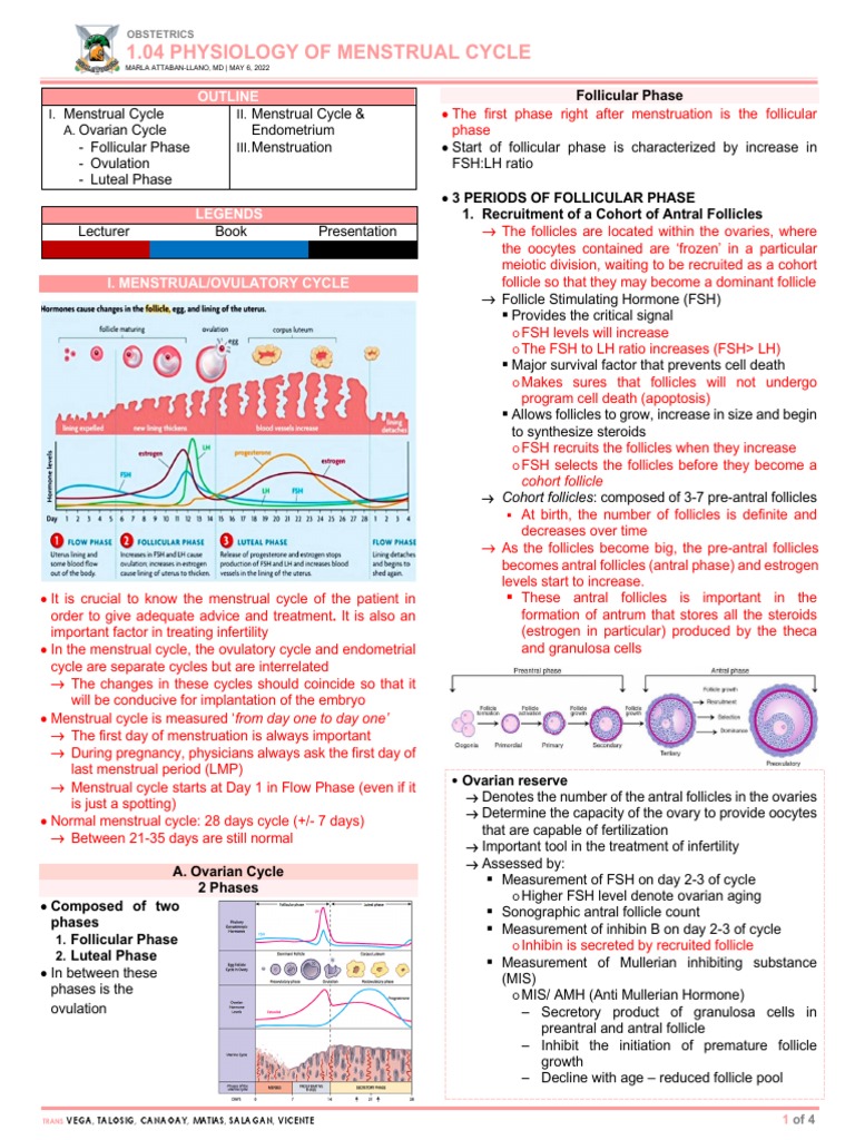 (OB) 1.04 Physiology of Menstrual Cycle - Dr. Attaban | PDF | Menstrual ...