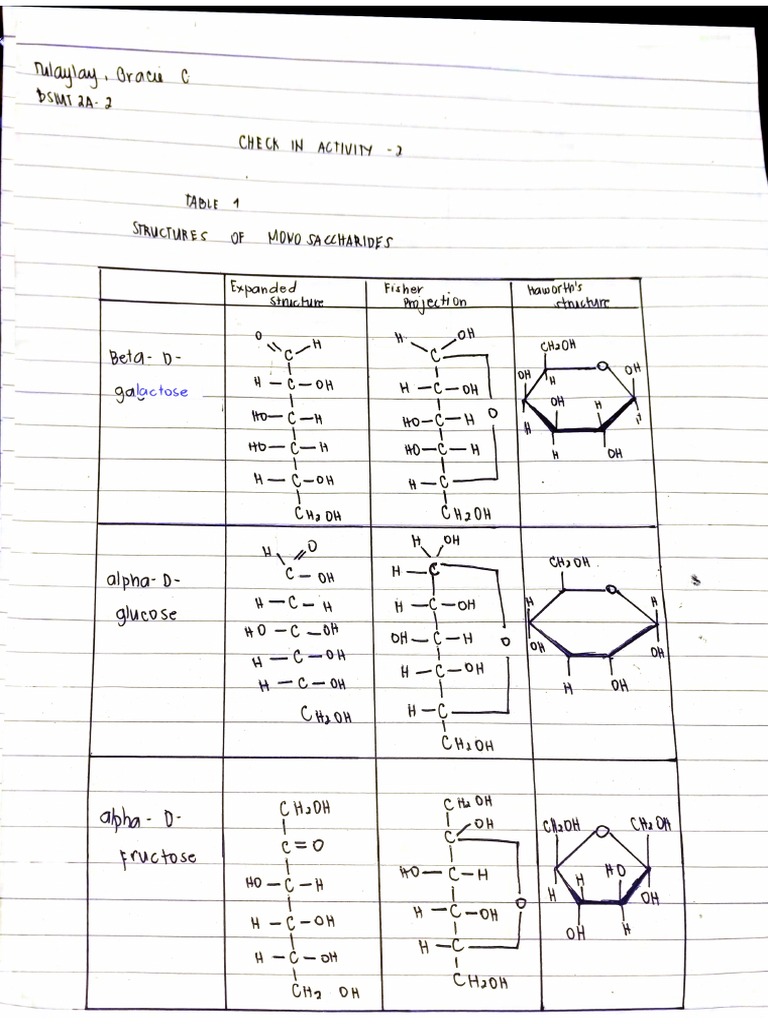 M2 CHECK IN ACTIVITY 2 - Tulaylay | PDF