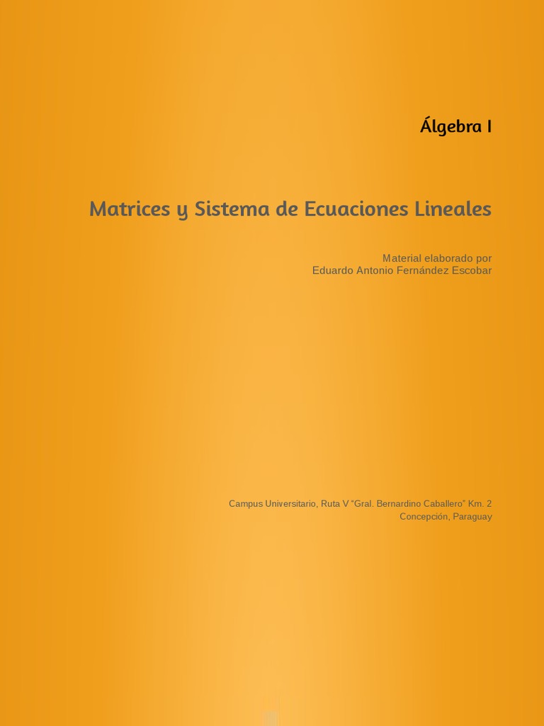 Matrices y Sistema de Ecuaciones Lineales | PDF | Determinante | Matriz (Matemáticas)