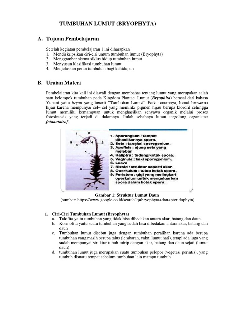 Struktur dan Generasi Tumbuhan Lumut | PDF | Sains & Matematika