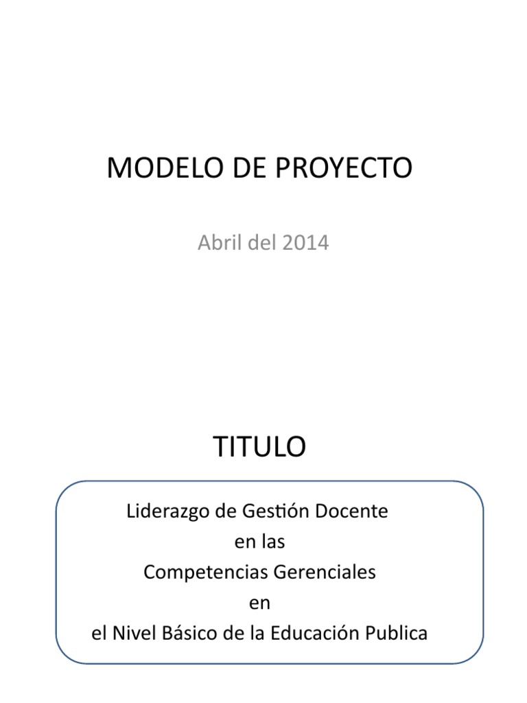 Modelo de Proyecto Unmsm | PDF | Liderazgo | Marketing