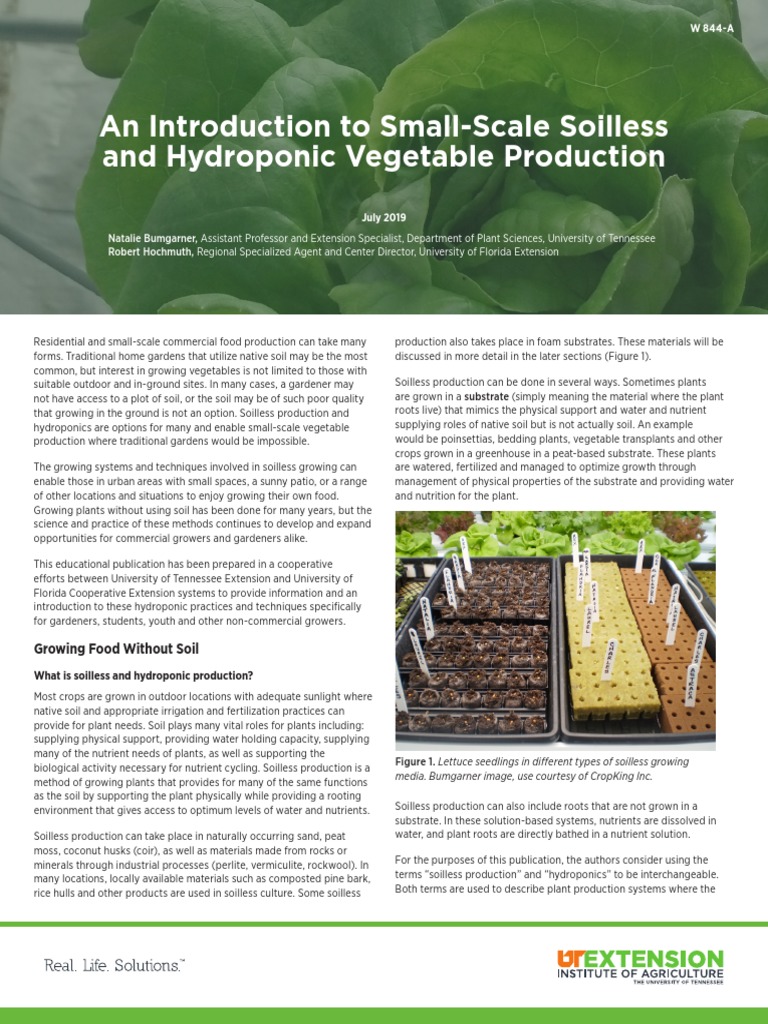 An Introduction To Small-Scale Soilless and Hydroponic Vegetable Production | PDF | Hydroponics ...