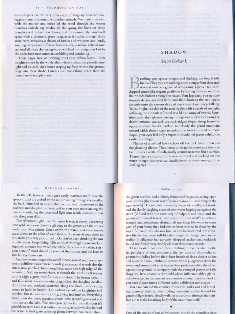 Abram - Becoming Animal - Shadow | PDF