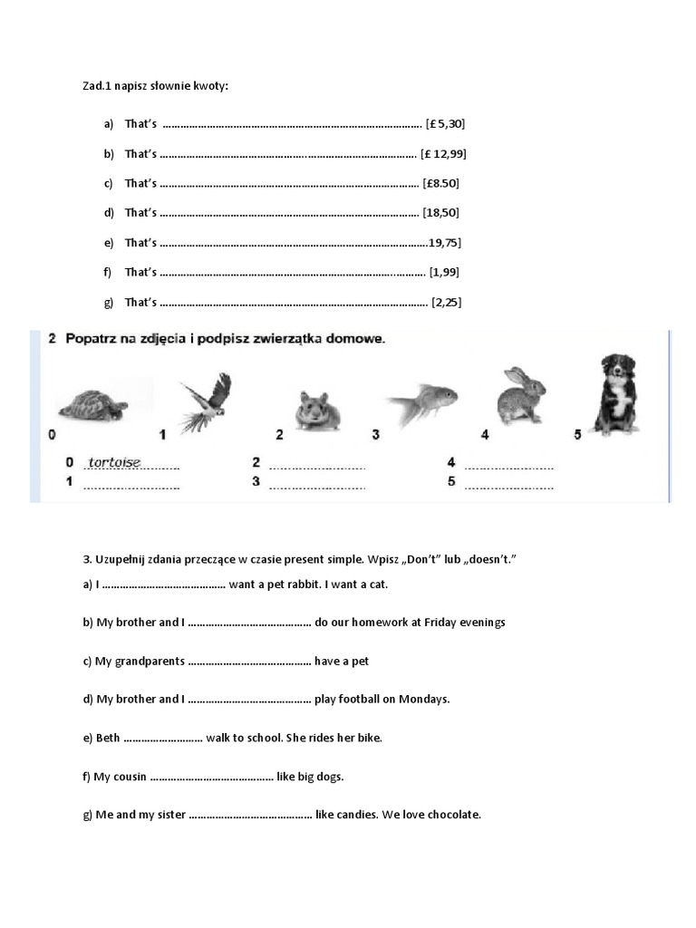 4 Klasa Powtórzenie Zwierzęta + Present Simple | PDF