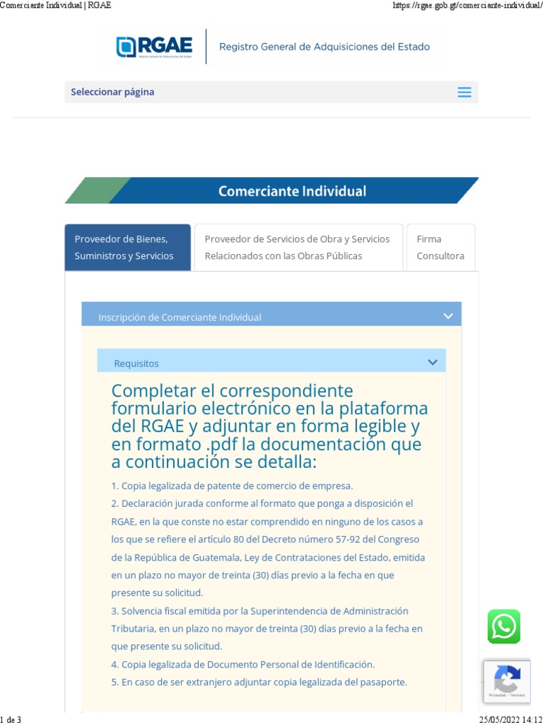 Comerciante Individual RGAE | PDF