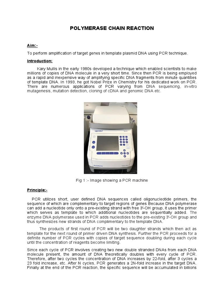 PCR Manual | PDF | Polymerase Chain Reaction | Primer (Molecular Biology)