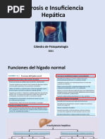 Fisiopatologia de La Cirrosis Hepatica | PDF | Cirrosis | Hígado