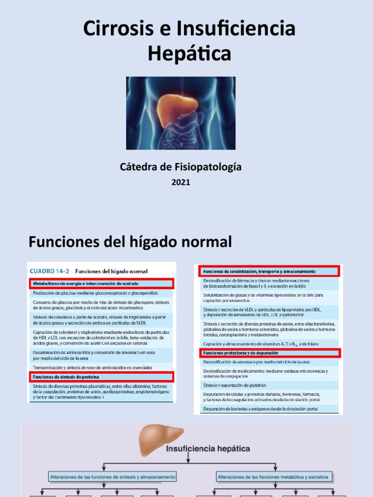 Cirrosis, Hipertensión Portal e Insuficiencia Hepática PPT 2 | PDF | Cirrosis | Hígado