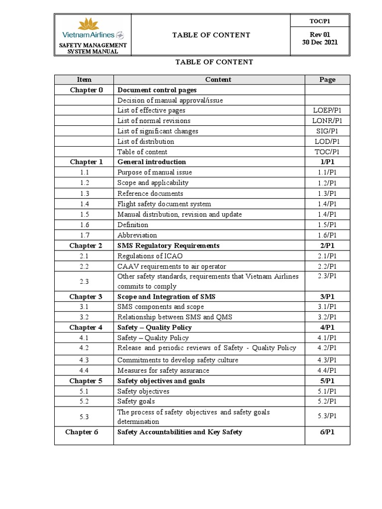 Vna SMSM Ev | PDF | Safety | Aviation Accidents And Incidents