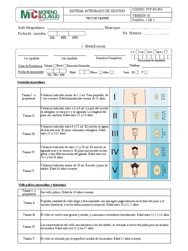 Test de Tanner | PDF | Pecho | Sistema reproductivo