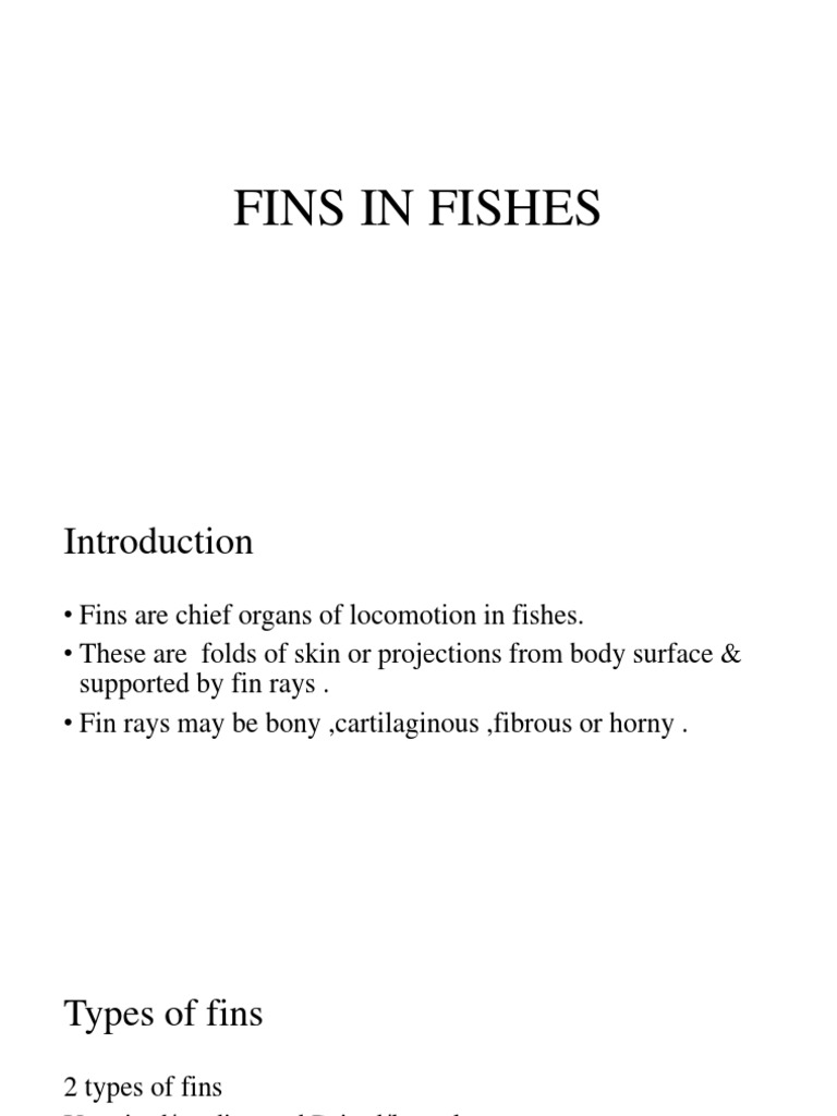 Fins in Fishes PDF | PDF | Aquatic Animals | Fish
