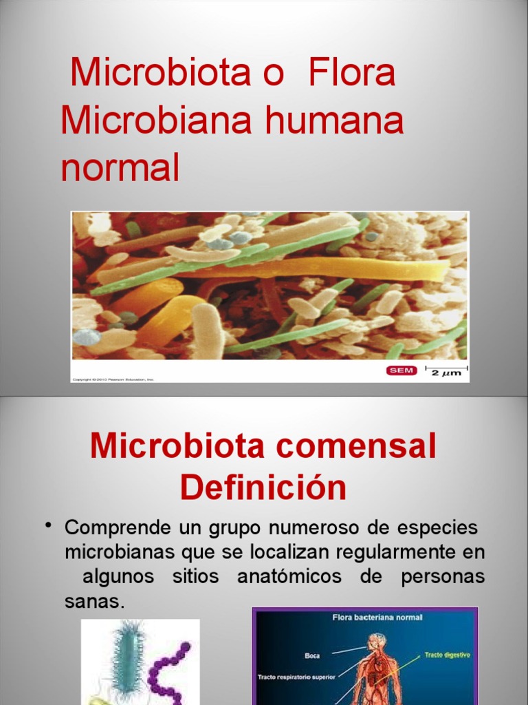 Microbiota Humana | PDF | Microbiología | Especialidades Medicas
