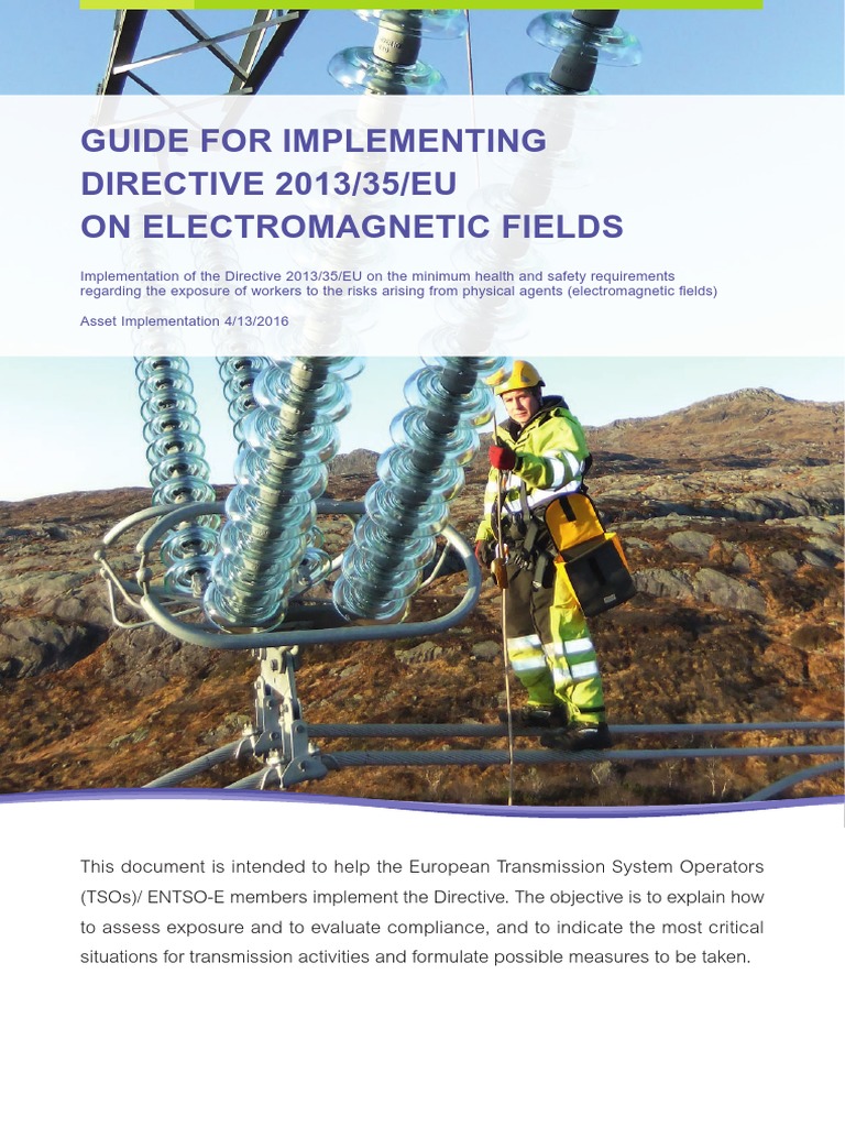 EMF Report Web | PDF | Electromagnetic Field | Risk