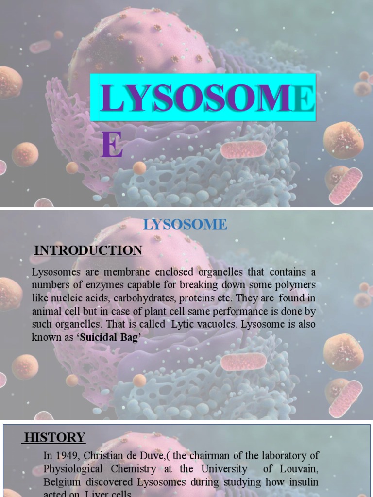 Lysosome | PDF | Lysosome | Chemistry
